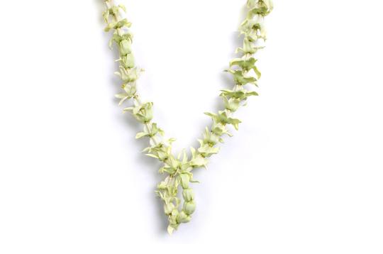 Fresh Aak Flower Garland - Rudra Centre