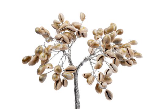 Buy Natural Cowrie Chakra Vastu Tree(440 gms) Online at Best Price ...