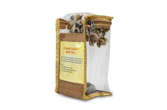 Buy Natural Cowrie Chakra Vastu Tree(440 gms) Online at Best Price ...