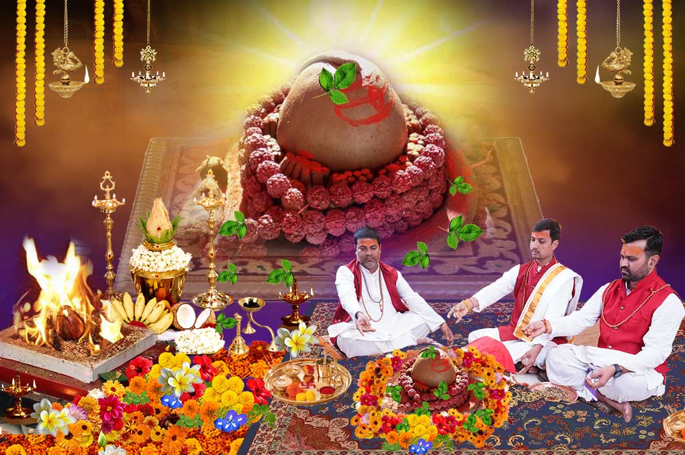 Parthiv Shivling Puja