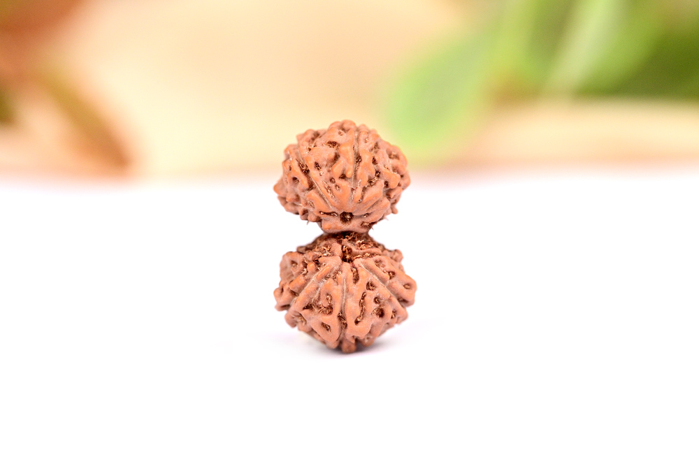 Gauri Shankar - 10 Mukhi from Java Indonesia - IV