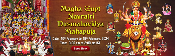 Buy Online Rudraksha, Gemstones, Yantras, Pooja Services | Rudraksha ...