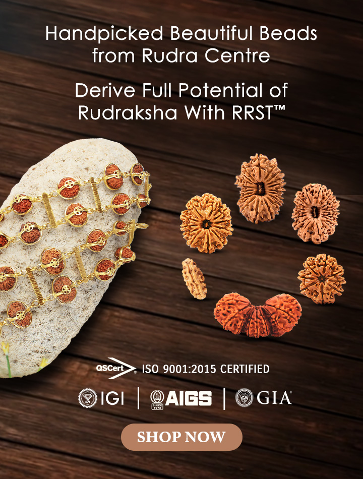 Buy Online Rudraksha, Gemstones, Yantras, Pooja Services | Rudraksha ...