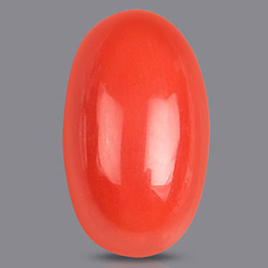 Buy Online Italian red coral | Italian moonga Price 1 to 14 Carat ...
