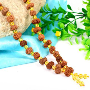 12 Mukhi Rudraksha Mala, 12 Mukhi Surya Mala, Benefits - Rudraksha Ratna