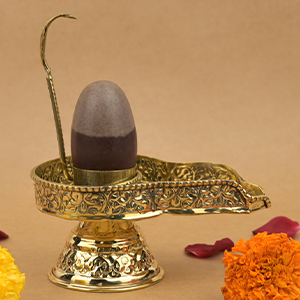 Narmada Shivling in Brass Yoni Base Jaldhari - III