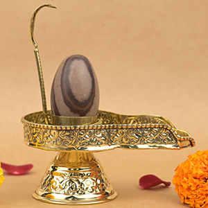 Narmada Shivling in Brass Yoni Base Jaldhari - XIII