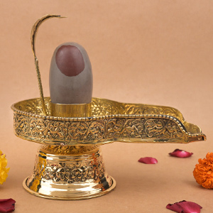 Narmada Shivling in Brass Yoni Base Jalhari - IX