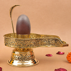 Narmada Shivling in Brass Yoni Base Jalhari - XI