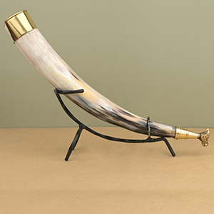 Bull Horn Gaumukhi Shringi for Abhishek - 262 gms