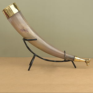 Bull Horn Gaumukhi Shringi for Abhishek - 265 gms