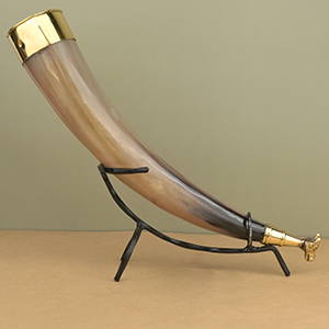 Bull Horn Gaumukhi Shringi for Abhishek - 251 gms