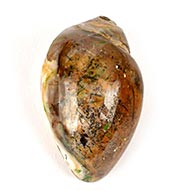 Kaamini (The Goddess who has passion)