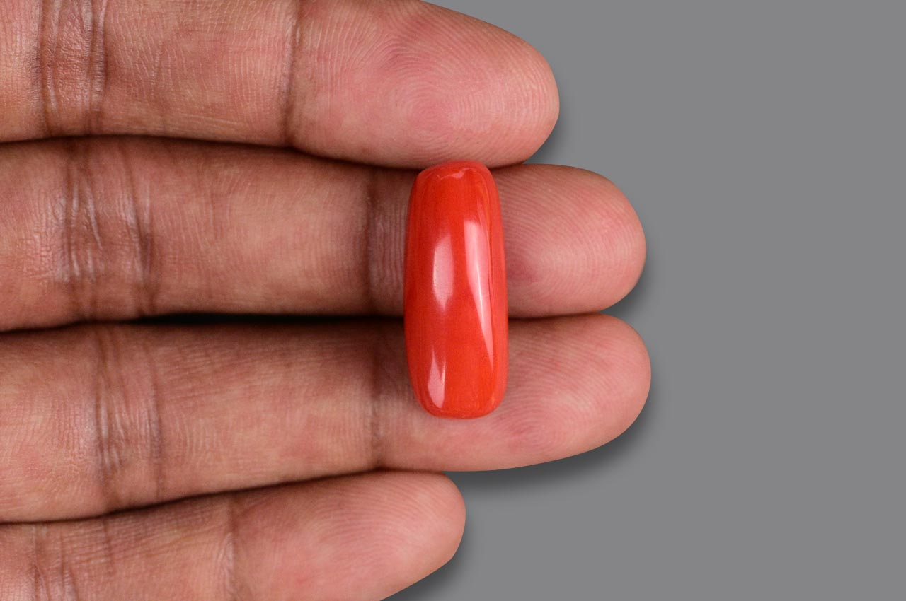 Red Italian Coral - 19.40 carats - Rudra Centre