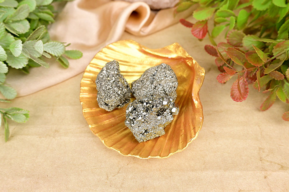 Pyrite stone in Sea shall Plate - Rudraksha Ratna - Rudra Centre