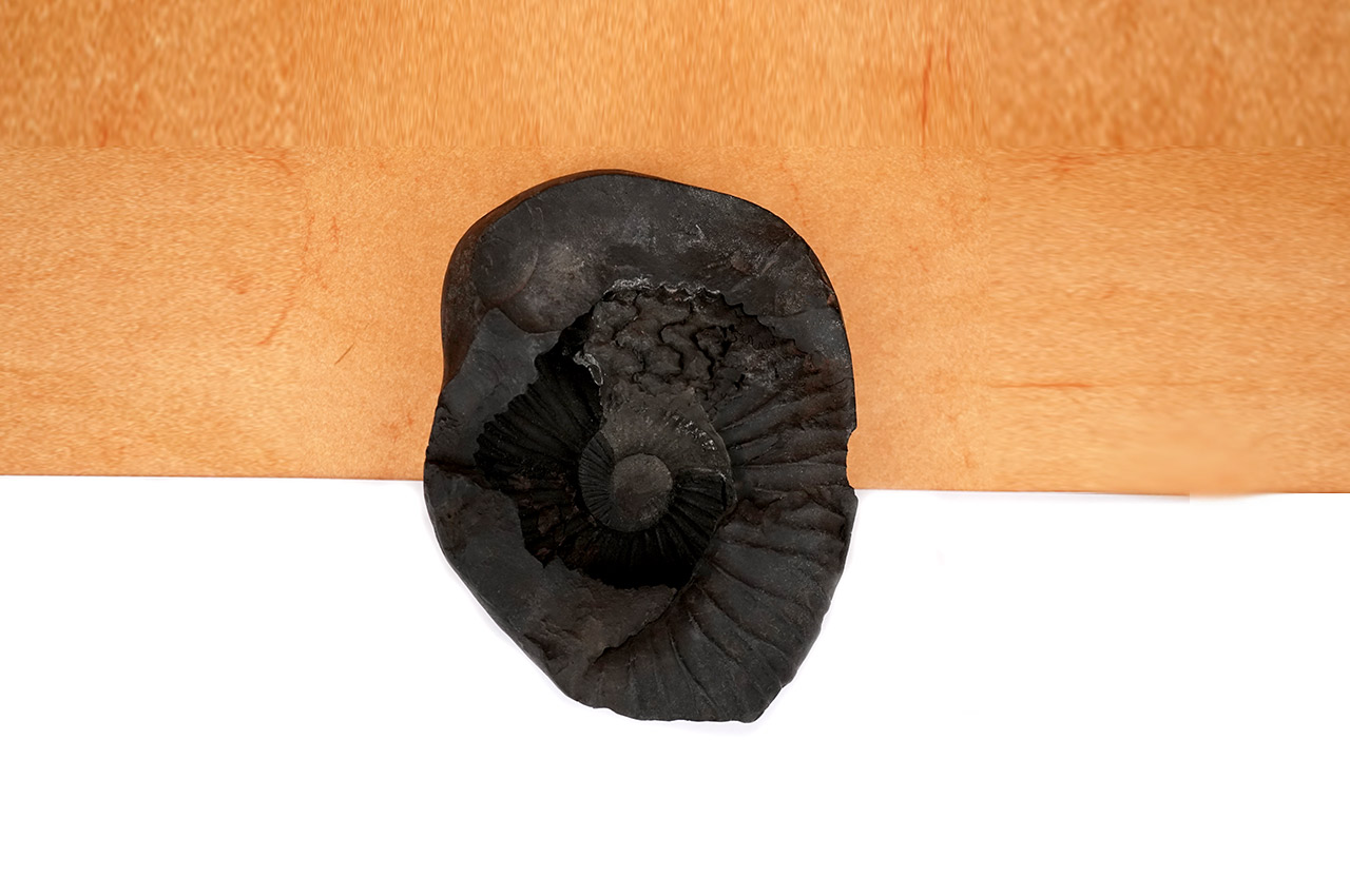 Ram Darbar Shaligram Murti - Rudra Centre