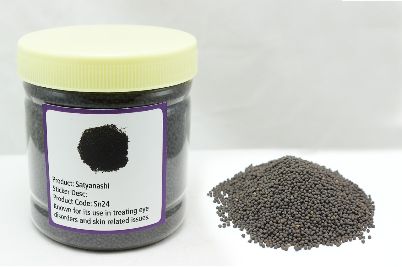 Buy Online Natural Satyanashi Seeds @ Low Cost - Rudra Centre - Rudra ...