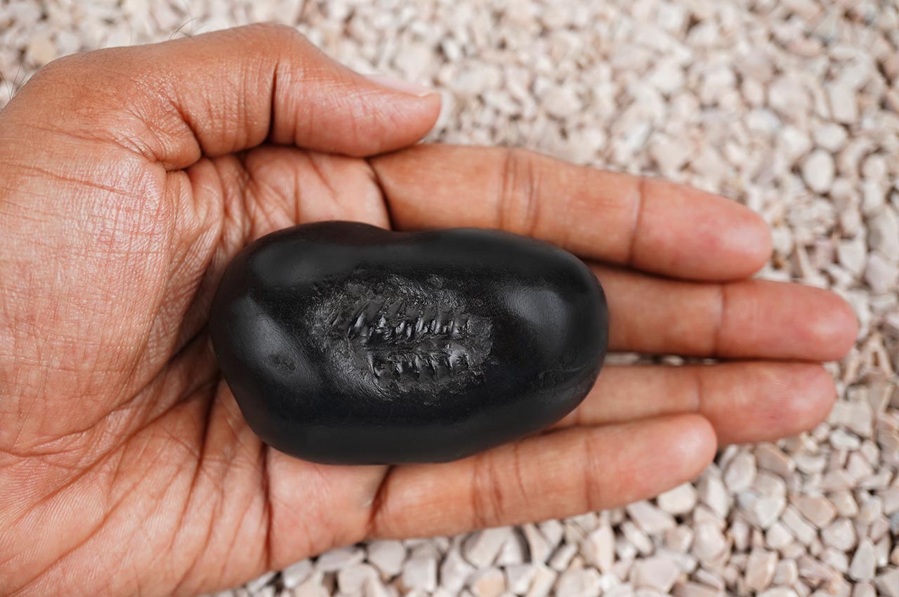 Santan Gopal Shaligram Shila - Rudra Centre