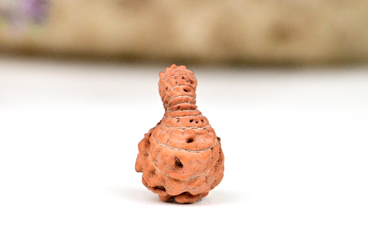 Collector Nineteen Mukhi from Java LV