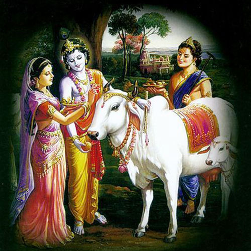 What is Gau Dan(Cow Donation), Importance of cow in Vedas - Rudra Centre