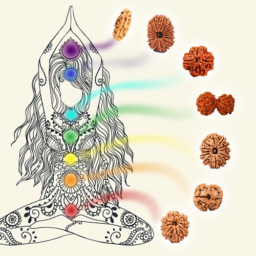 How to Wear Rudraksha Correctly, Rudraksha Wearing Advice, Rudraksha ...