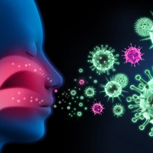 Low immunity: Meaning, Causes, Symptoms & Remedies - Rudra Centre