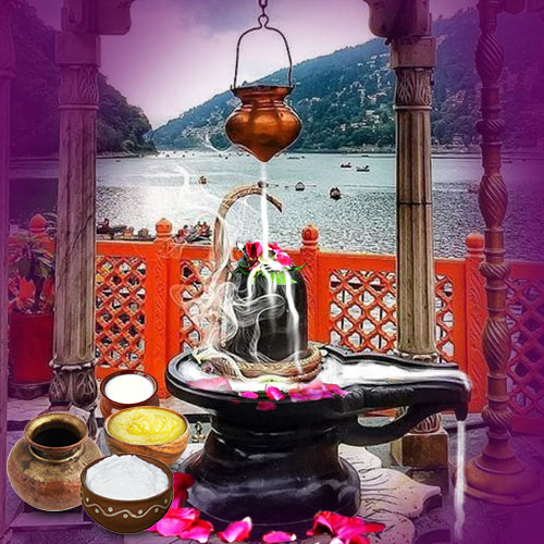 Rudrabhishek Puja, Puja Vidhi, Benefits, and Procedure - Rudra Centre