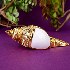 Order Beautiful Shankha in Silver Coating Online @ Best Cost - Rudra ...