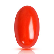 Buy Online Italian red coral | Italian moonga Price 1 to 14 Carat ...