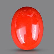 Buy Online Italian red coral | Italian moonga Price 1 to 14 Carat ...
