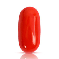 Buy Online Italian red coral | Italian moonga Price 1 to 14 Carat ...