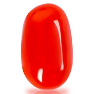Buy Online Italian red coral | Italian moonga Price 1 to 14 Carat ...