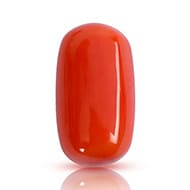 Buy Online Italian red coral | Italian moonga Price 1 to 14 Carat ...