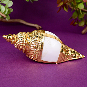 Order Beautiful Shankha in Silver Coating Online @ Best Cost - Rudra ...