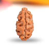 1 mukhi Rudraksha Indonesia, One Mukhi Java Rudraksha Beads Online ...
