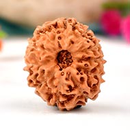 11 mukhi Rudraksha Indonesia, Gyarah Mukhi Java Rudraksha Beads Online ...