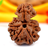 Buy Original Savar Naag Rudraksha Online at Best Price - Rudra Centre