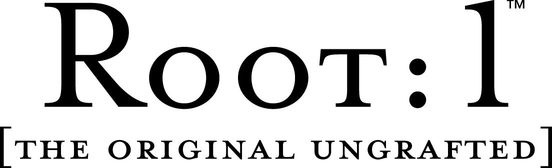 ROOT 1 Wine | New Yorker – On the Town