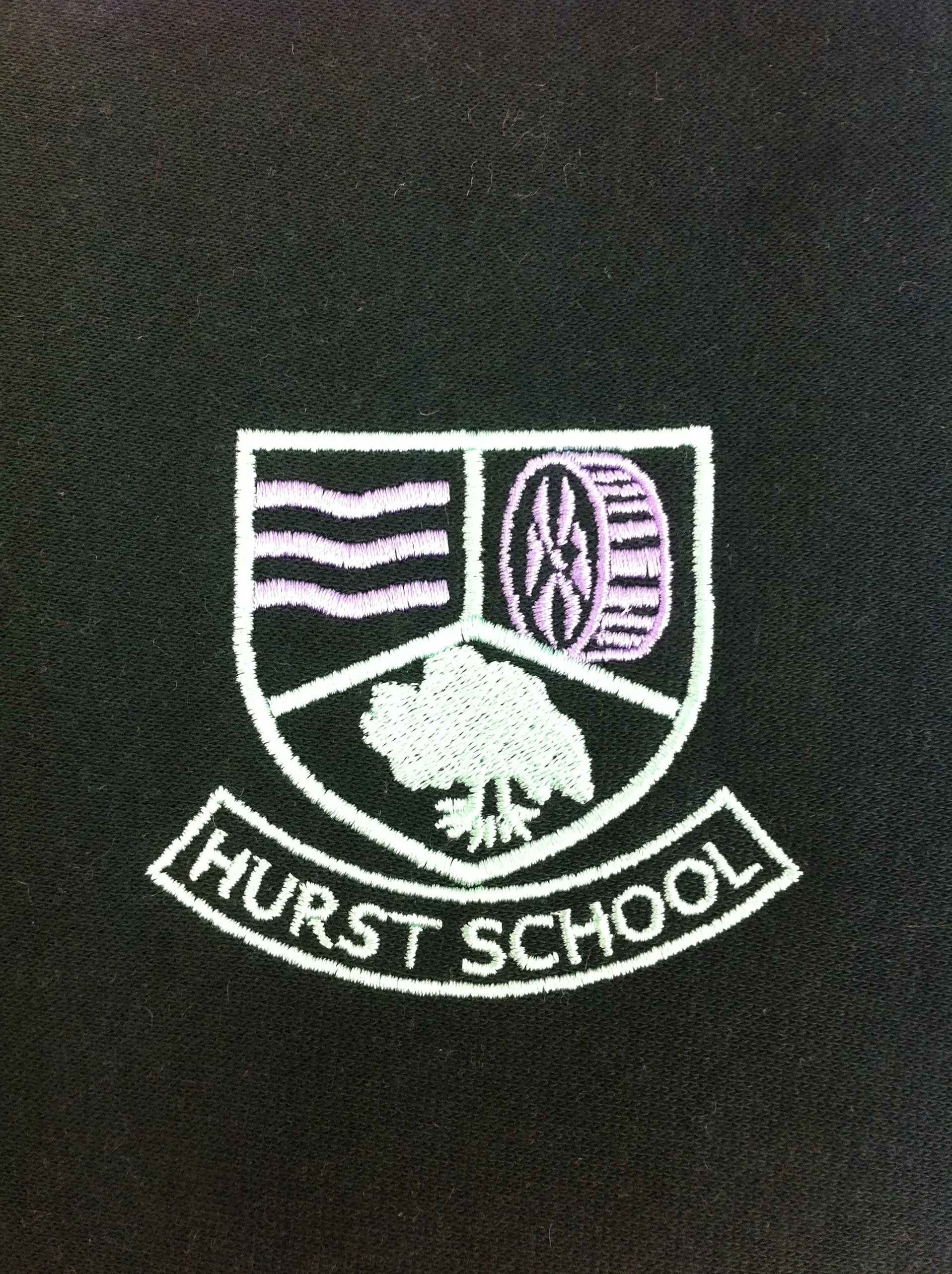 Hurst Primary School