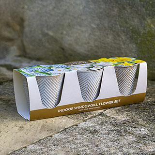 Christmas Gifts | YouGarden