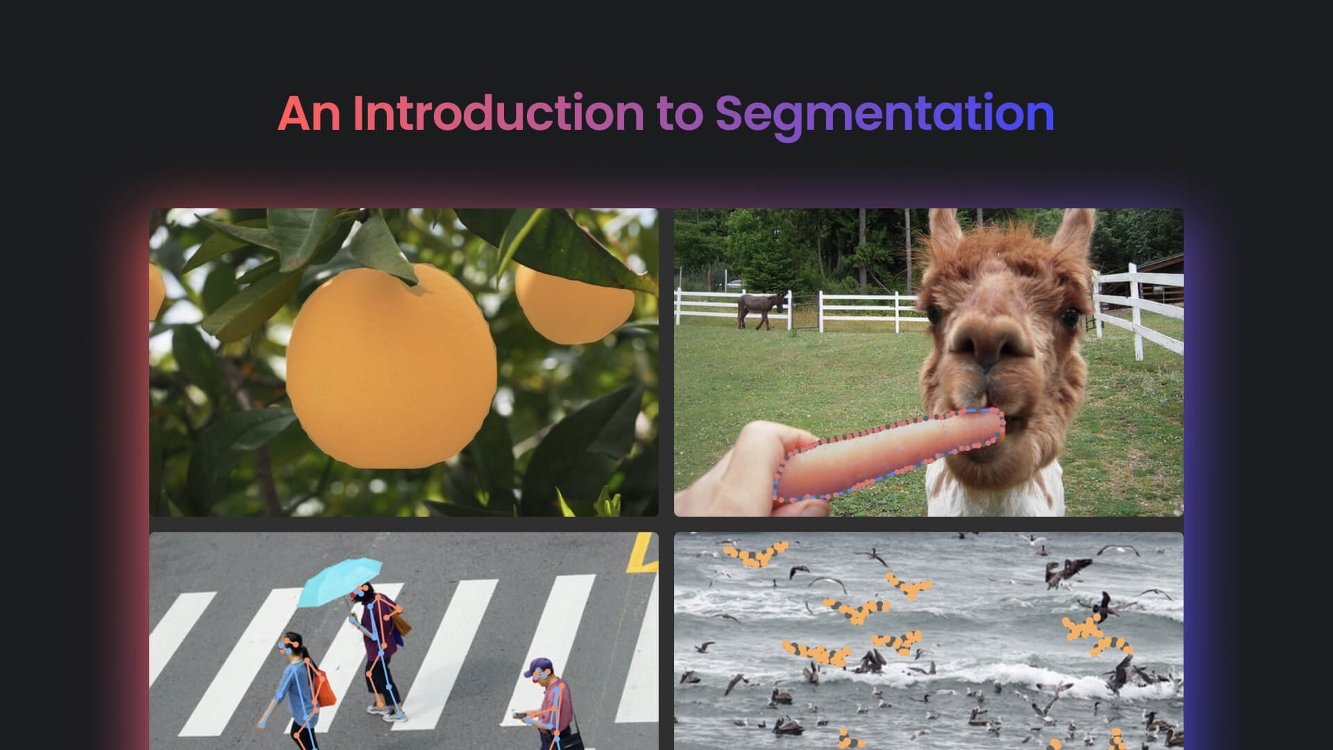 Data Annotation Tools for Image Segmentation | Superb AI