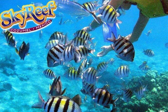 Princess' Medallion-Class Cruise Ships