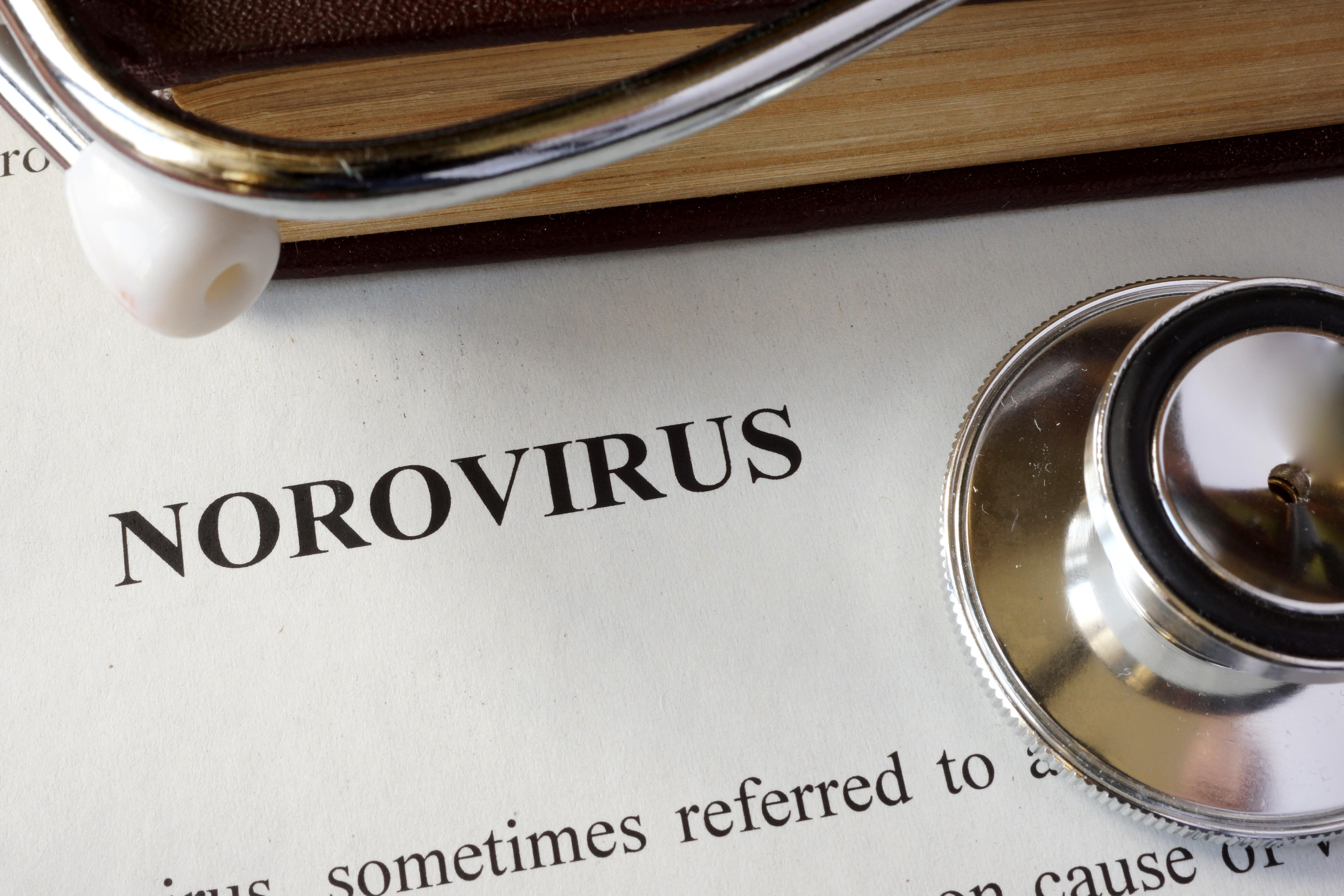 Norovirus: What You Need to Know