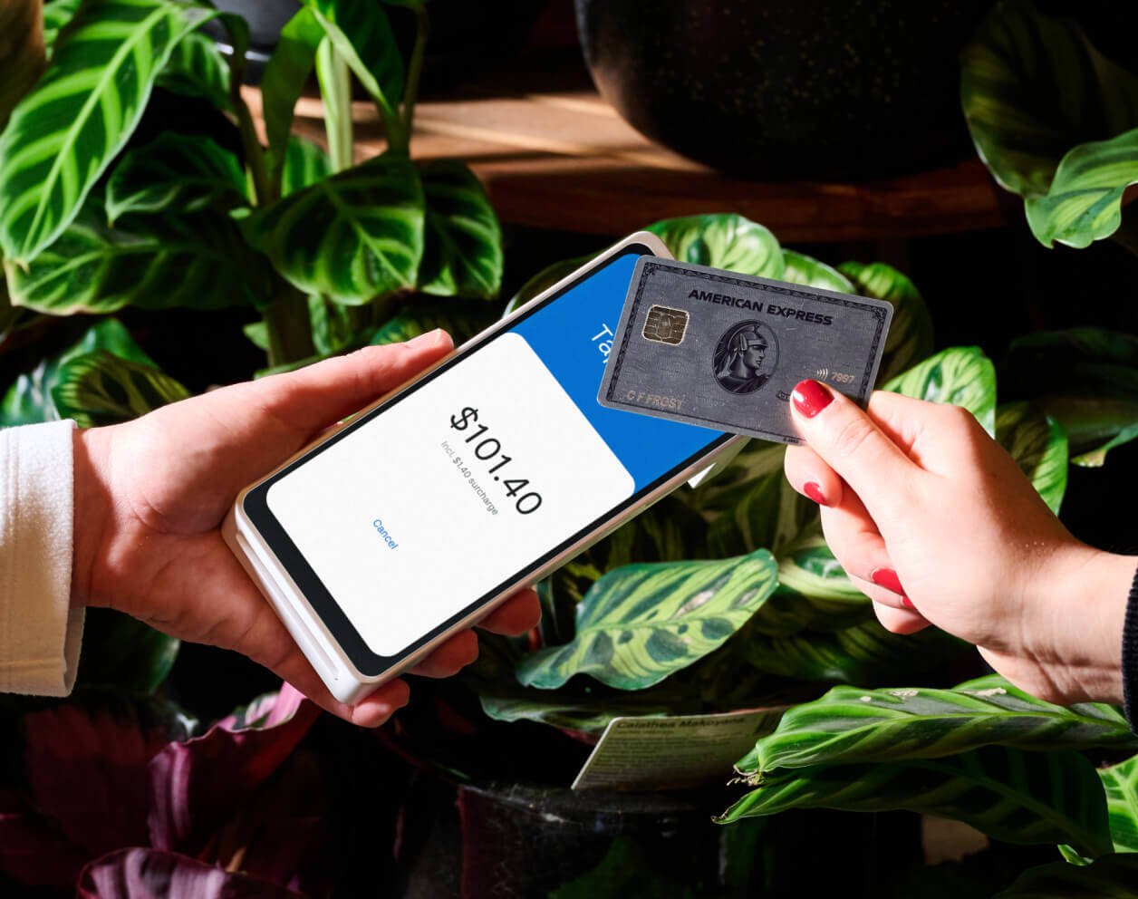 The True Cost of EFTPOS Transaction Fees | Zeller