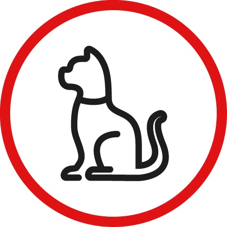 Cat Supplies & Accessories | Food, Toys & More | Jollyes