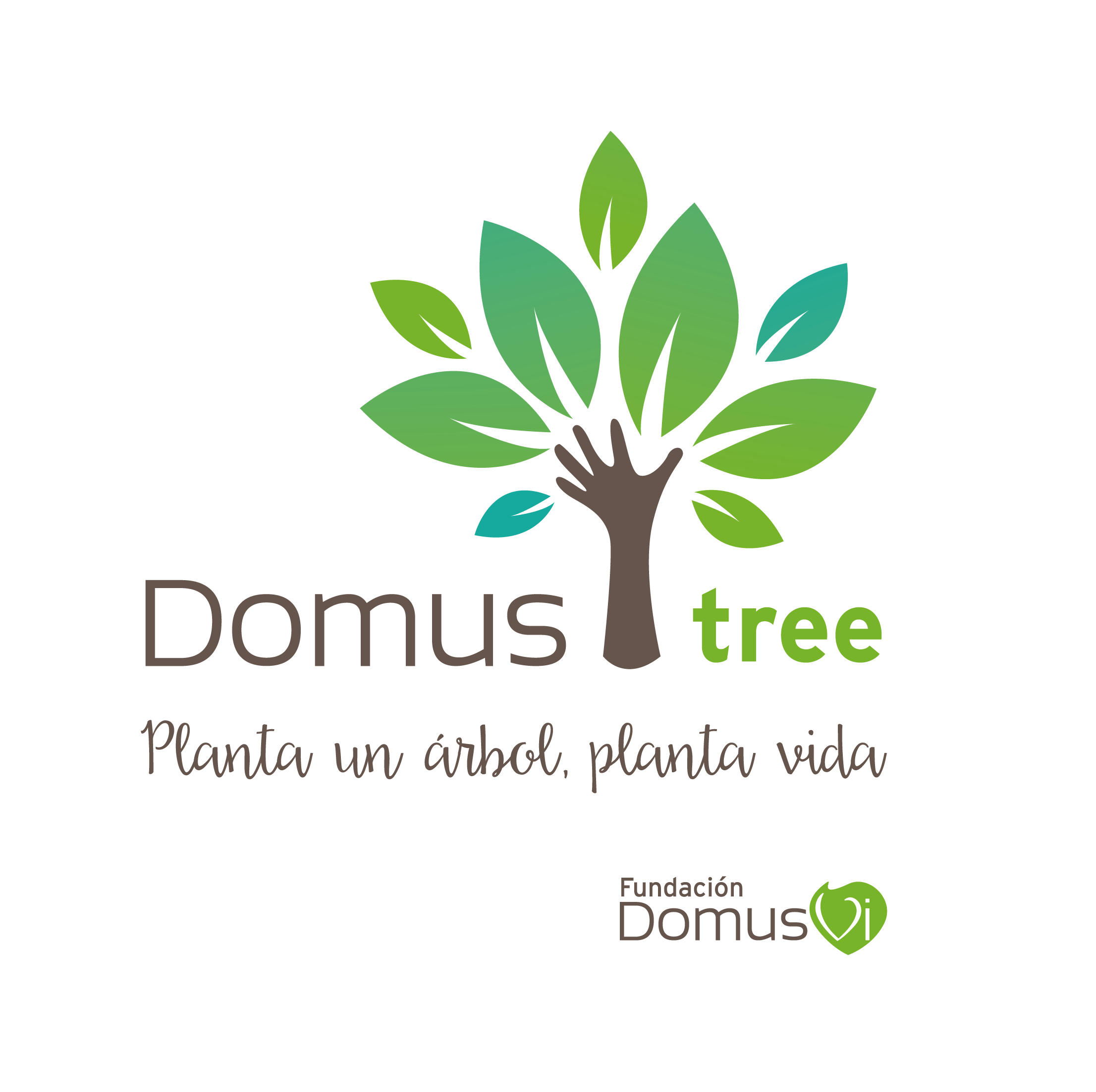 DOMUSTREE