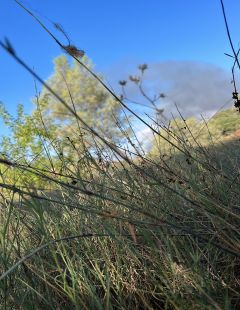 TNM | Surviving October 7th - The Day That Changed The World