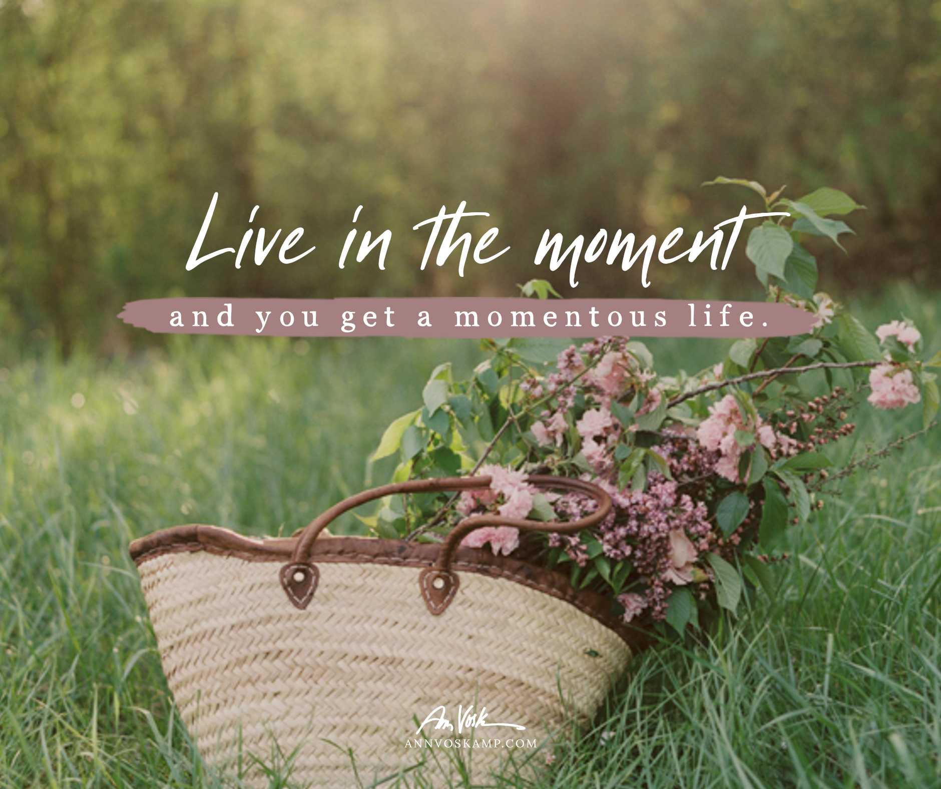 Sticky Notes for the Soul - Ann Voskamp