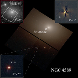 Star Clusters in the Elliptical Galaxy NGC 4589 Hosting a Calcium-rich ...