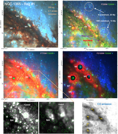 Figure 3 from